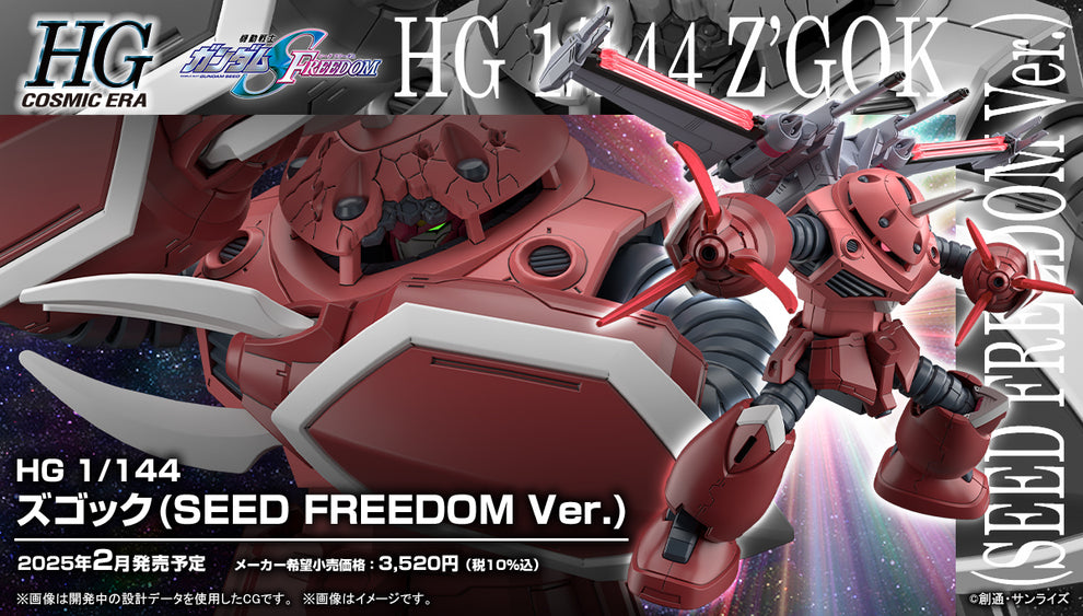 GUNDAM - HG 1/144 - Z GOK – Zone Gunpla